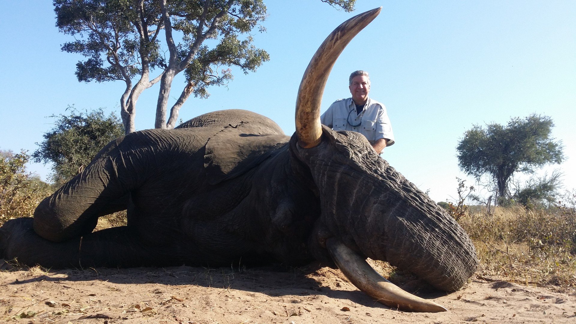 Trump activa la nueva gran amenaza contra el elefante africano